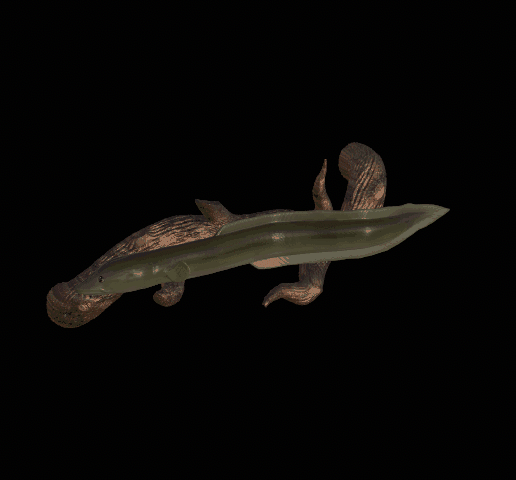 🎏 Eel underwater statue on the wall detailed texture for 3d printing ...
