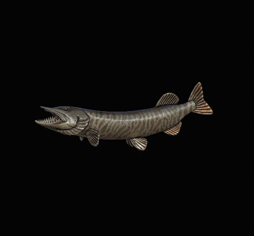 👄 PIKE MUSKELLUNGE MUSKIE / ESOX MASQUINONGY real size 2 open mouth in ...