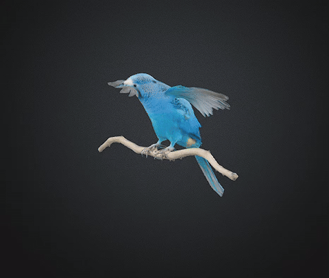 3D file GMA Little Bird Stl Obj Glb for 3D Printer 🐦 ・3D printing idea ...