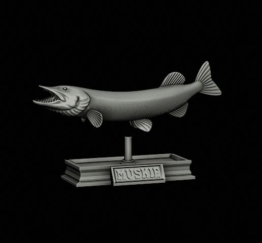 🐠 fish pike muskellunge muskie / Esox masquinongy in motion 2 open ...