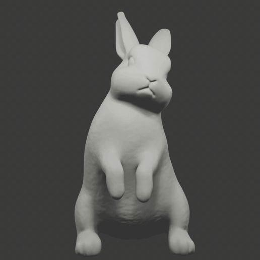 🐇 RABBIT・ STL File for 3D printing・Cults
