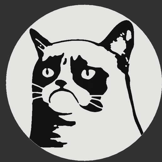 grumpy cat gif