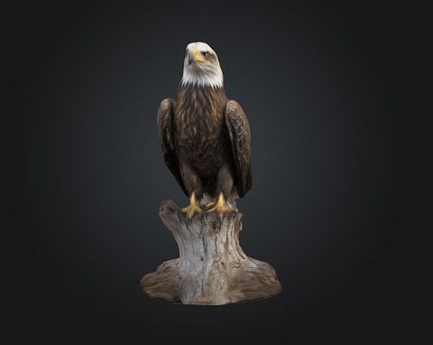 3D file DiB American Eagle Stl Obj Glb for 3D Printer 🦅 ・Template to download and 3D print・Cults