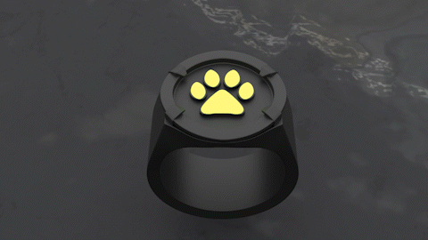 how to draw cat noir ring