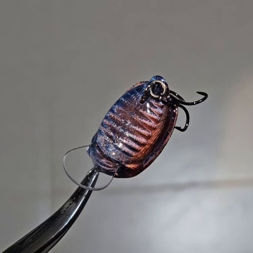 🪲 Beetle fishing lure・ STL File for 3D printing・Cults
