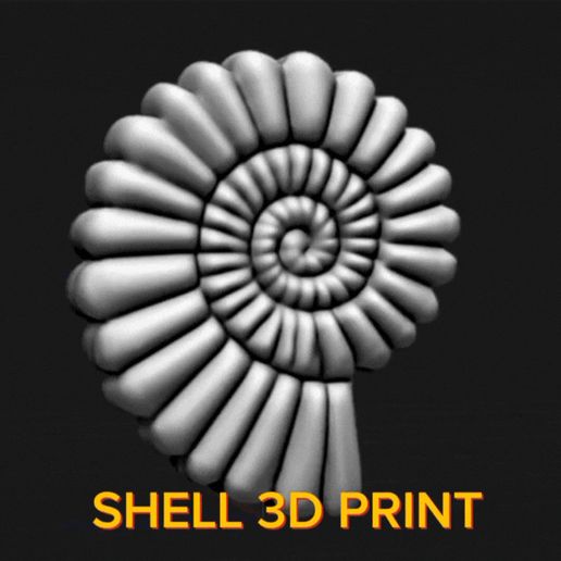 🐚 SHELL 10 - 3D PRINT - AQUARIUM・ 3D File for 3D printing・Cults