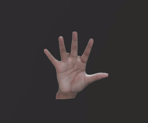 DBX Human Hand STL OBJ 2 Mini・ STL File for 3D printing・Cults