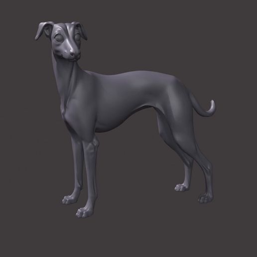 🐕 GREYHOUND - DOG BREEDS - 3D figure Infinity/Disney style・ STL File ...