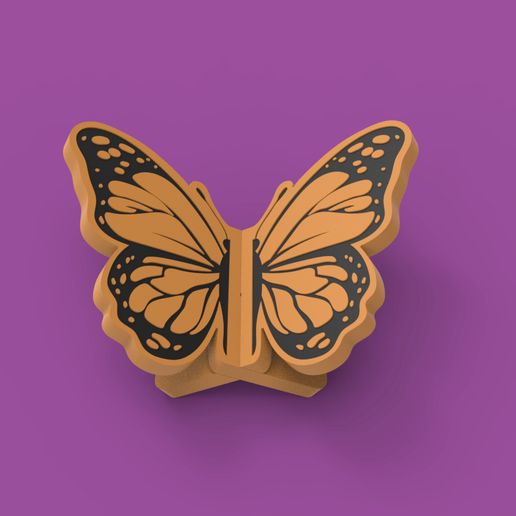 reading butterfly display