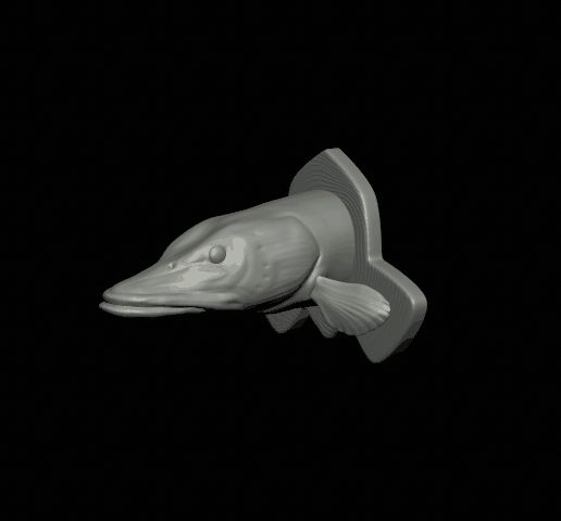 🏆 pike 2.0 detailed texture trophy on the wall taxidermy for 3d ...
