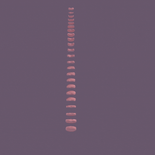 3D file INTERVERTEBRAL DISK SEGMENTED 💾 ・3D print design to download・Cults