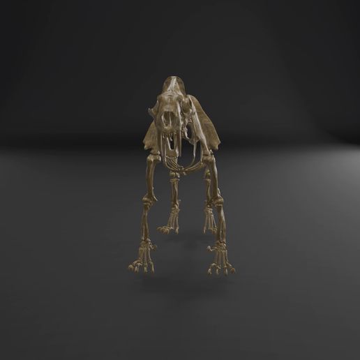 💀 Smilodon populator - sabertooth skeleton 3D print model・ 3D File for ...