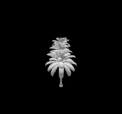 🍹 Tropical Palm Tree Duo・ STL File for 3D printing・Cults