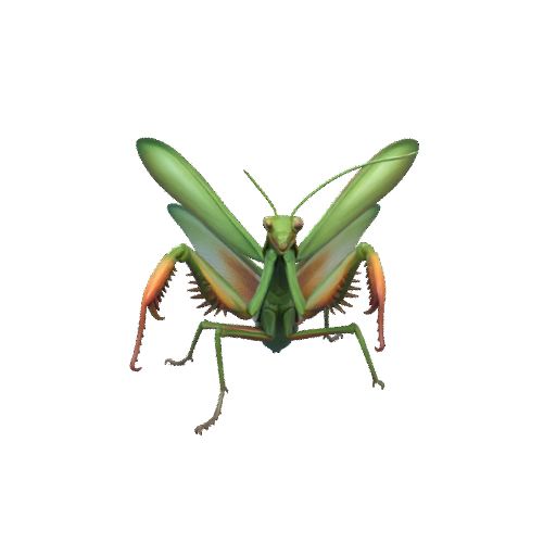 🙏 3D model of a Praying Mantis・ STL File for 3D printing・Cults