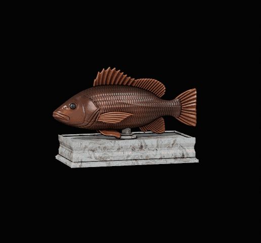 🐠 fish mangrove jack / mangrove red snapper / Lutjanus argentimaculatus ...