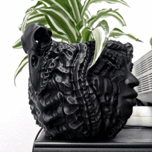 🐦 Raven Xenomorph Plant Pot・ STL File for 3D printing・Cults