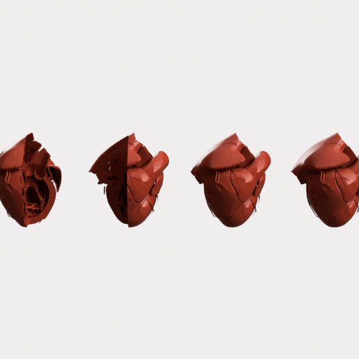 💜 HUMAN HEART SECTIONS SEGMENTED 3D MODELS・ 3D File for 3D printing・Cults