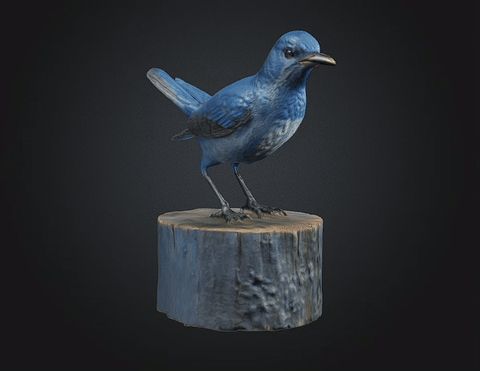 3D file DBX Little Bird Stl Obj Glb for 3D Printer 🐦 ・3D printing ...