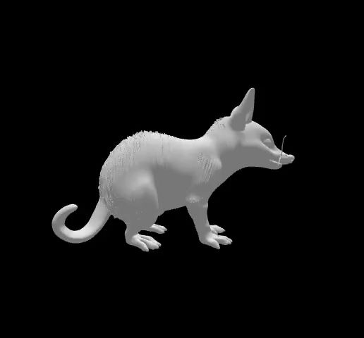 STL file Cute Stylized Possum 👹 ・3D printer design to download・Cults