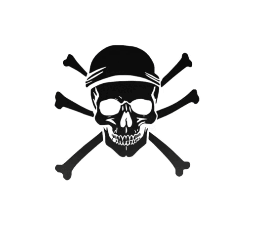 pirate flag logo