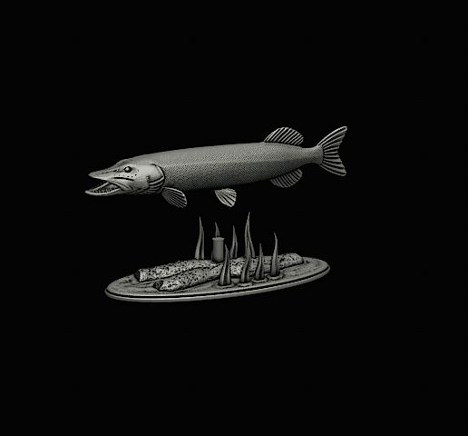 🐠 fish NORTHERN PIKE (ESOX LUCIUS) natural base detailed texture for 3d ...