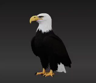 👨‍🦲 Realistic Bald Eagle 3D Model for Printing・ STL File for 3D ...