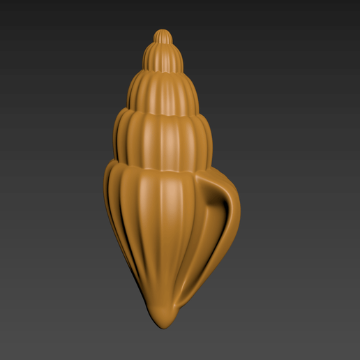 🐚 Seashell Clam Shell・ STL File for 3D printing・Cults