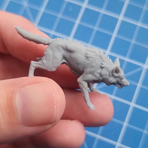🐕 War Dog / Dire Wolf - The Faithful Companion | 32mm Wargaming Proxy ...