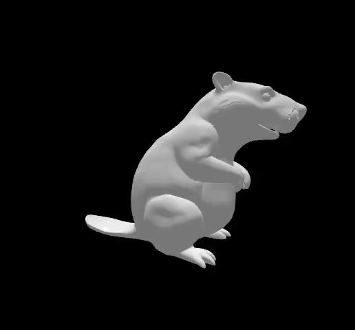STL file Charming Cartoon Beaver 🦫 ・3D print design to download・Cults