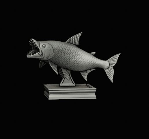 🐠 fish tigerfish / Hydrocynus goliath in motion trophy 2 statue ...