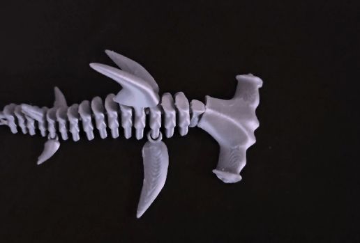 🦈 Articulated Flexi-Hammerhead・ STL File for 3D printing・Cults
