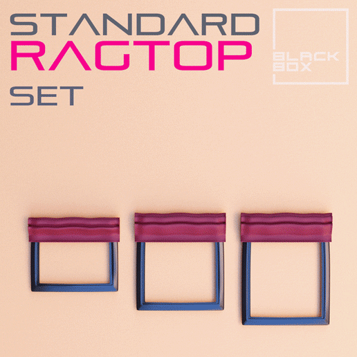 🪲 Standard RAGTOP Sunroof SET for modelkits and diecast・ 3D File for ・Cults