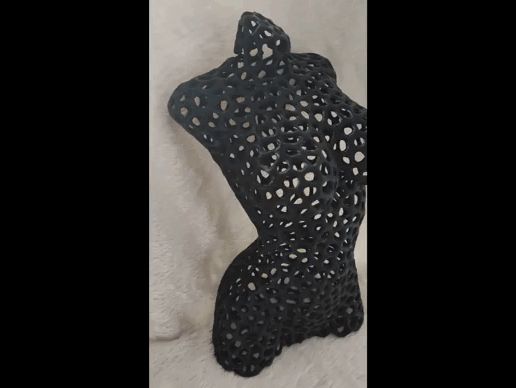 ♀️ female torso・ STL File for 3D printing・Cults