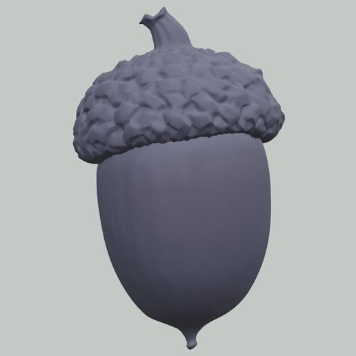 🌳 Oak Acorn・Free STL File for 3D printing・Cults
