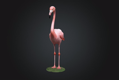 3D file DBX Flamingo Stl Obj Glb for 3D Printer 🦩 ・Model to download ...