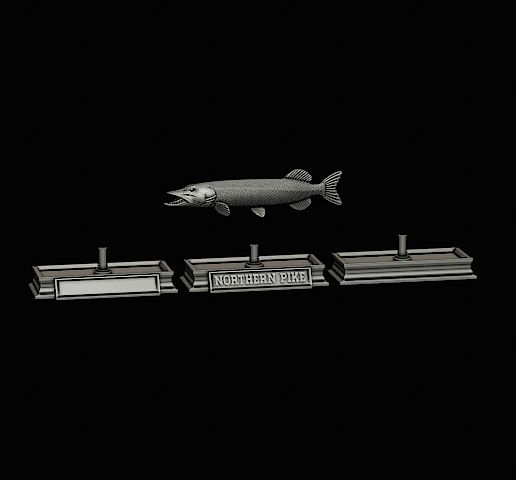 🐠 fish NORTHERN PIKE (ESOX LUCIUS) open mouth stone base for 3d ...