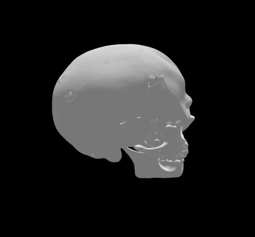 💀 Human Skull・ STL File for 3D printing・Cults