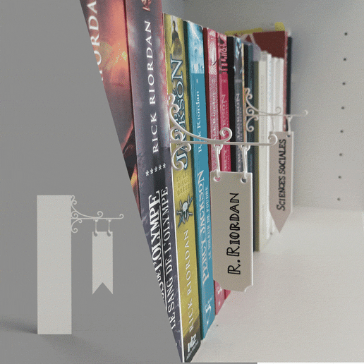 📚 Fantasy decorative signs shaped like banners for book collections ...