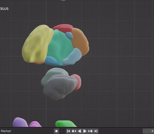 STL file Comprehensive Anatomy of Thalamus Nuclei and Basal Ganglia 🧠 ...
