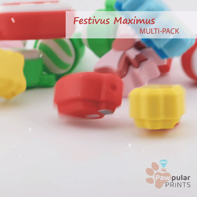 FESTIVUS MAXIMUS MULTI-PACK - FIDGET KEYCHAIN [PRIVATE USE ONLY] 🔔🎀・ 3D ...