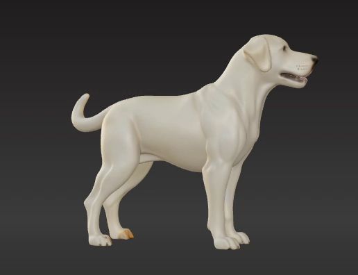 🐕 Labrador Dog・ STL File for 3D printing・Cults