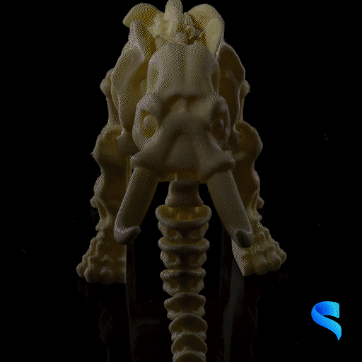 elephant skeleton 3d
