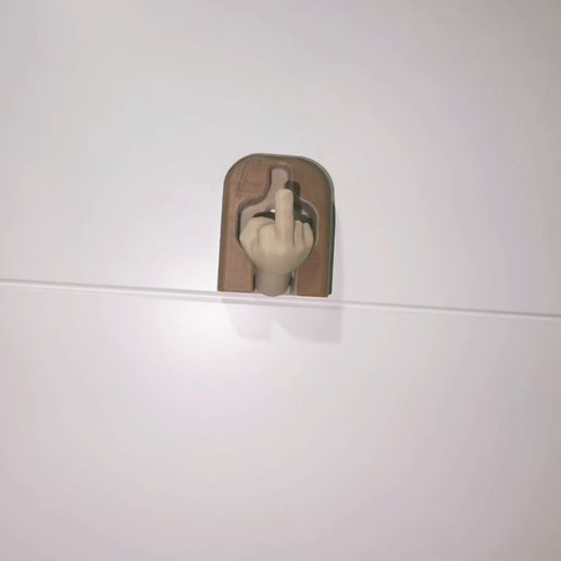 🖕 Middle Finger Wall Hanger – Funny Hanger for Keys, Clothes, and More ...