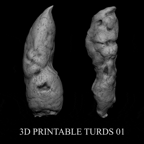 💩 3D PRINTABLE TURDS 01・ STL File for 3D printing・Cults
