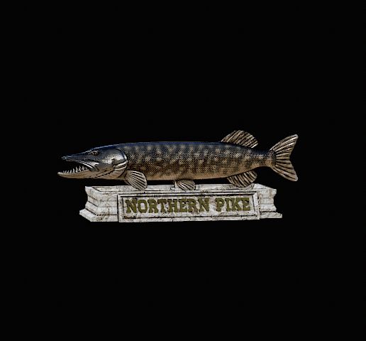 🐠 fish NORTHERN PIKE (ESOX LUCIUS) open mouth stone base for 3d ...