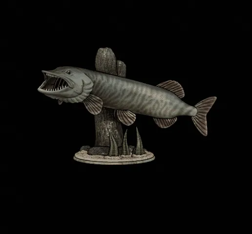 🐠 fish pike muskellunge muskie / Esox masquinongy fish in motion ...