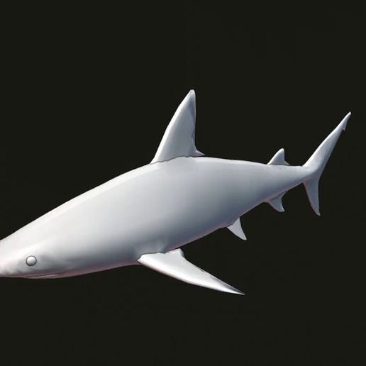 🦈 Mako shark Fish・ STL File for 3D printing・Cults