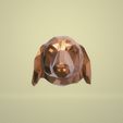 STL file Dachshund_scp 🐕 ・Model to download and 3D print・Cults