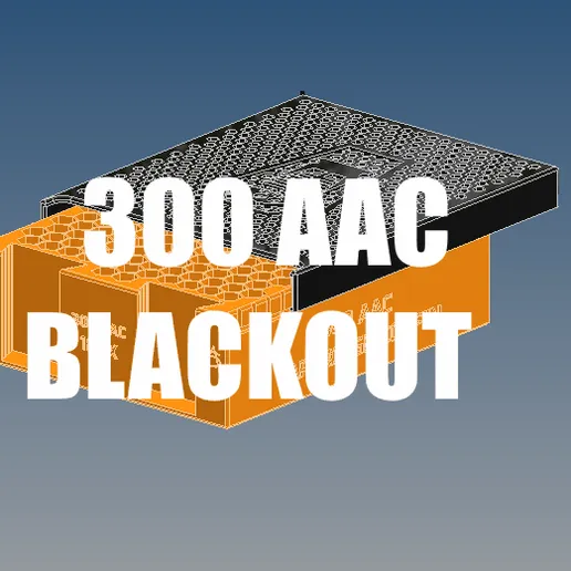 🥫 300 AAC / BLACKOUT 186x storage fits inside 50cal ammo can・ STL File ...