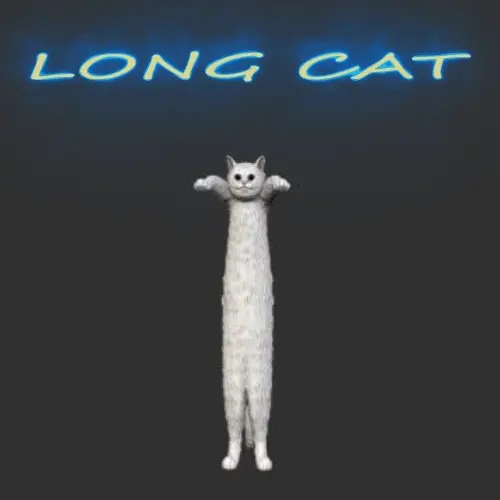 longcat is long